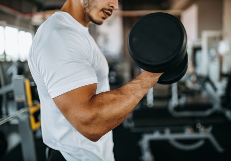 O que é hipertrofia: saiba como obtê-la | Dream Fitness